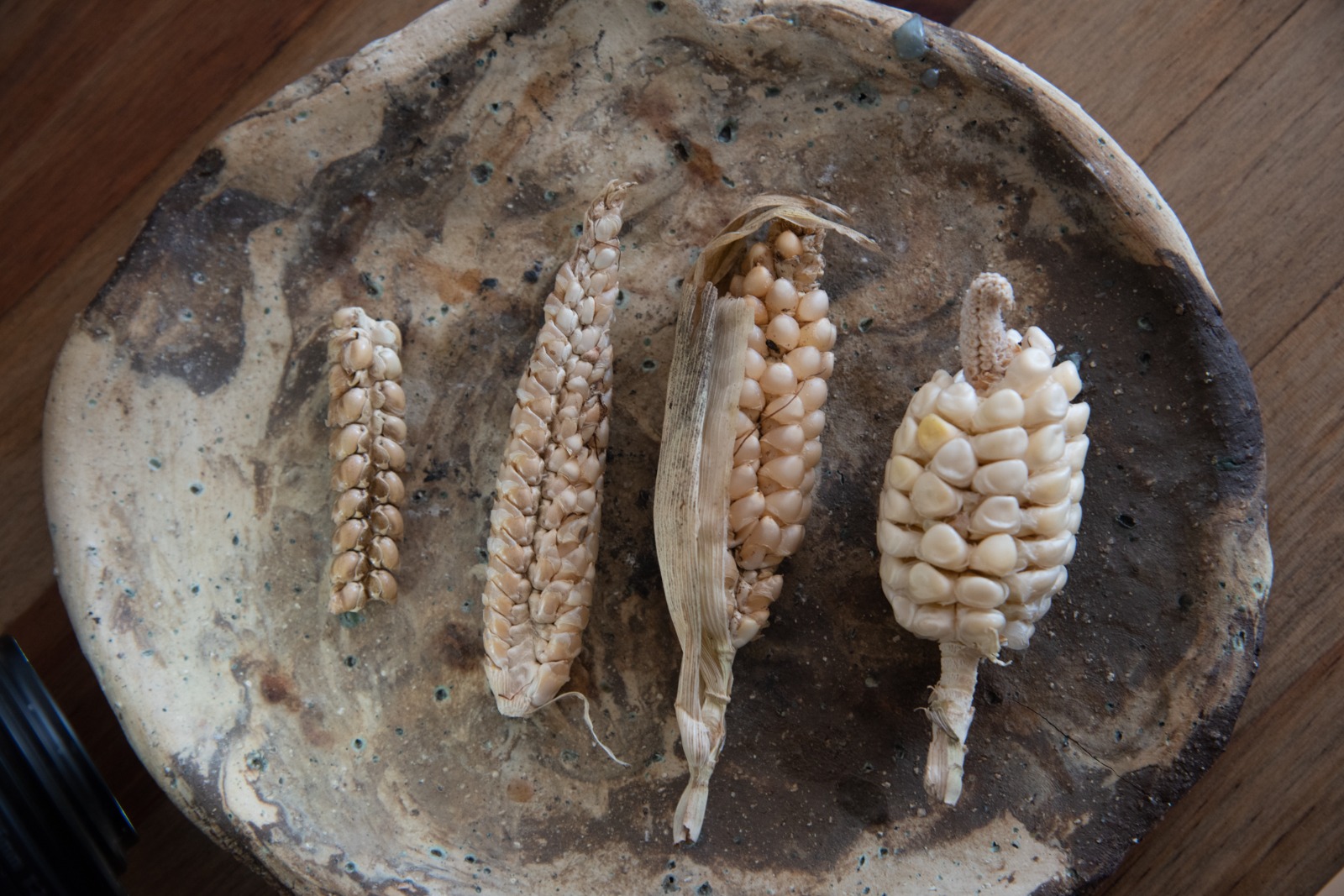 La milpa en la actualidad - Fundación Alfredo Harp Helú Oaxaca