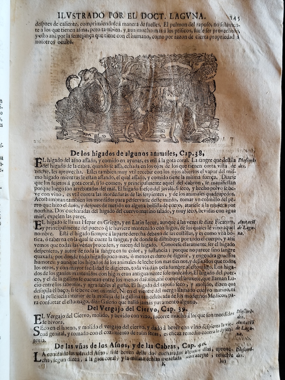 Acerca de la materia medicinal de Dioscórides - Fundación Alfredo Harp ...